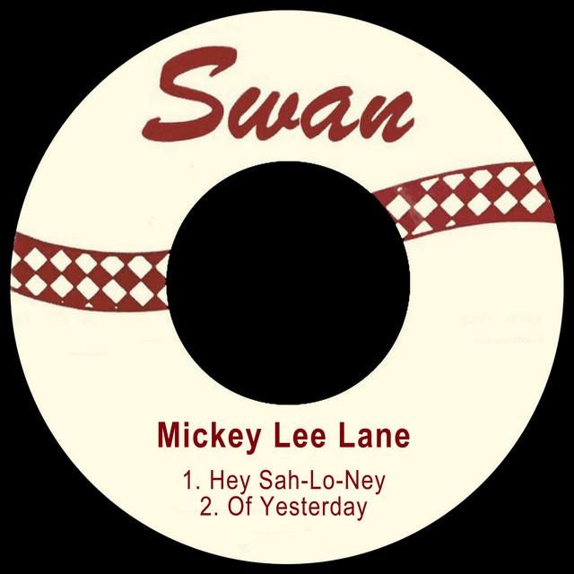 Mickey Lee Lane Store: Official Merch & Vinyl