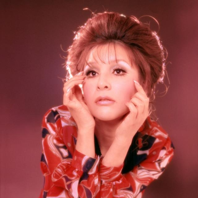 Miki Hirayama Store: Official Merch & Vinyl