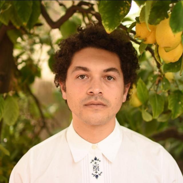 Mirror Tree Vinyl Record