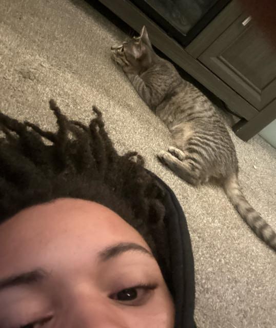 Riovaz Store: Official Merch & Vinyl