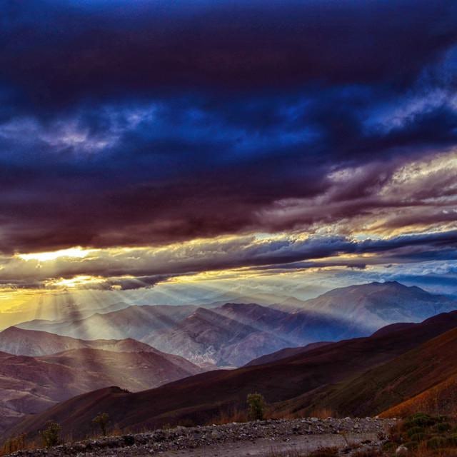 Nicky Jackson Store: Official Merch & Vinyl