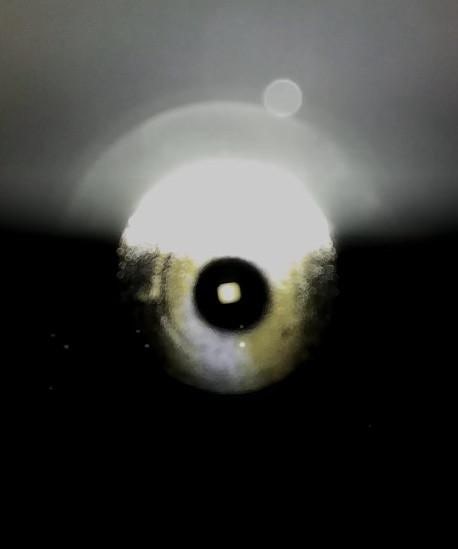 Night Class Store: Official Merch & Vinyl