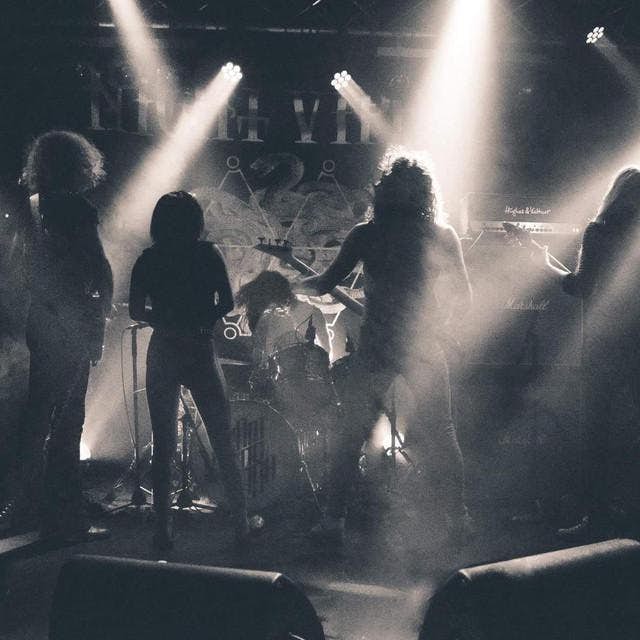 Night Viper Store: Official Merch & Vinyl