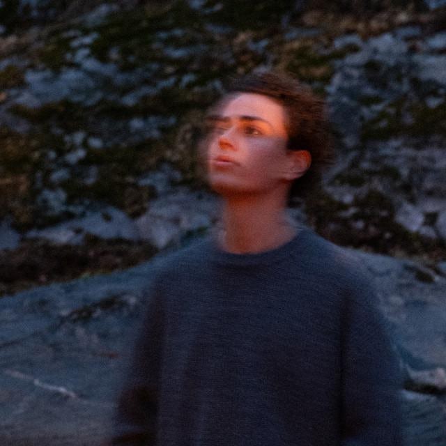 Noak Hellsing Store: Official Merch & Vinyl