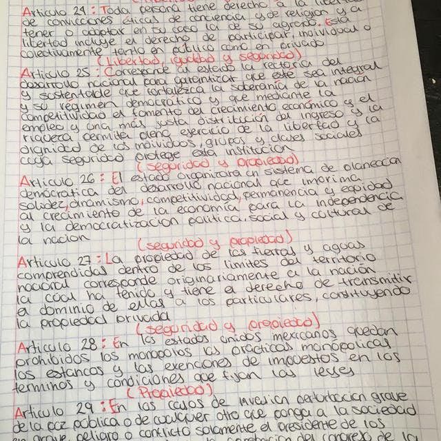 Noise Project Store: Official Merch & Vinyl