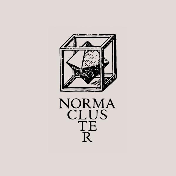Norma Cluster Store: Official Merch & Vinyl