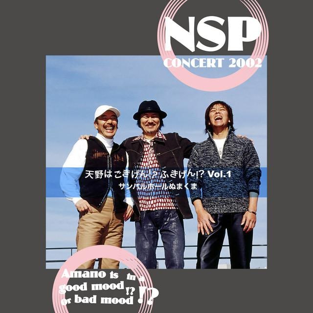 NSP Store: Official Merch & Vinyl