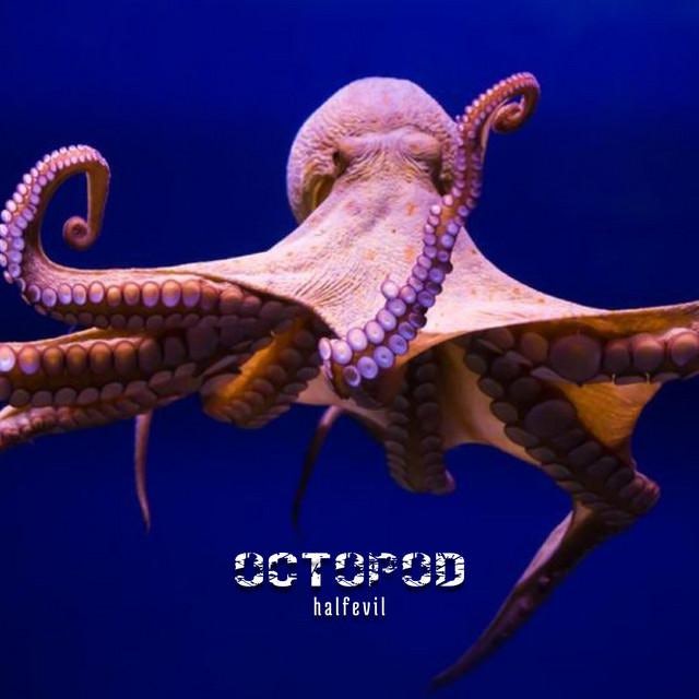 Octopod Store: Official Merch & Vinyl