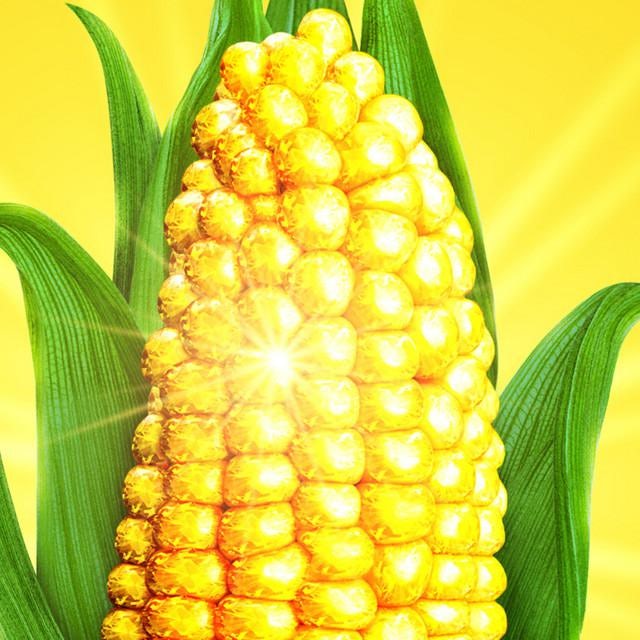 Original Broadway Cast of Shucked Store: Official Merch & Vinyl