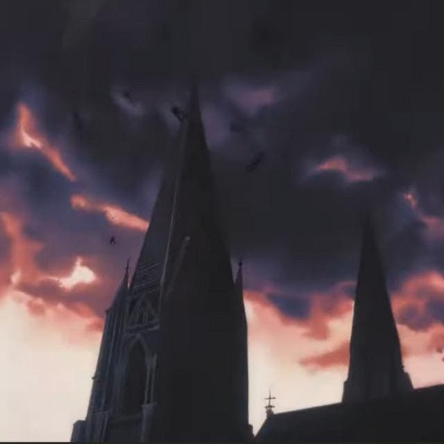 PACKGOD Store: Official Merch & Vinyl