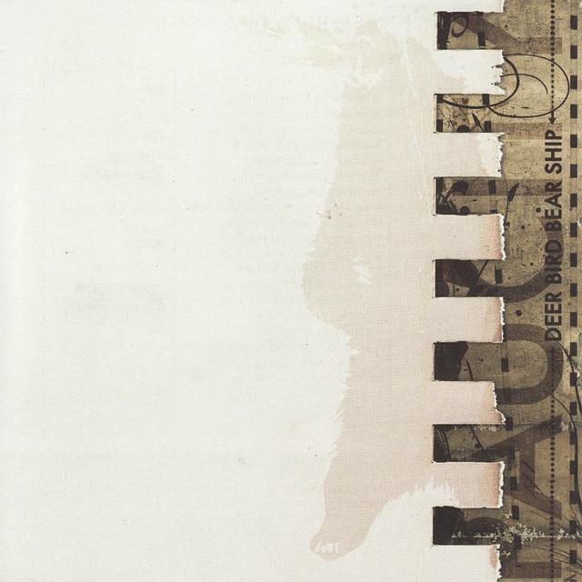 Paucity Store: Official Merch & Vinyl