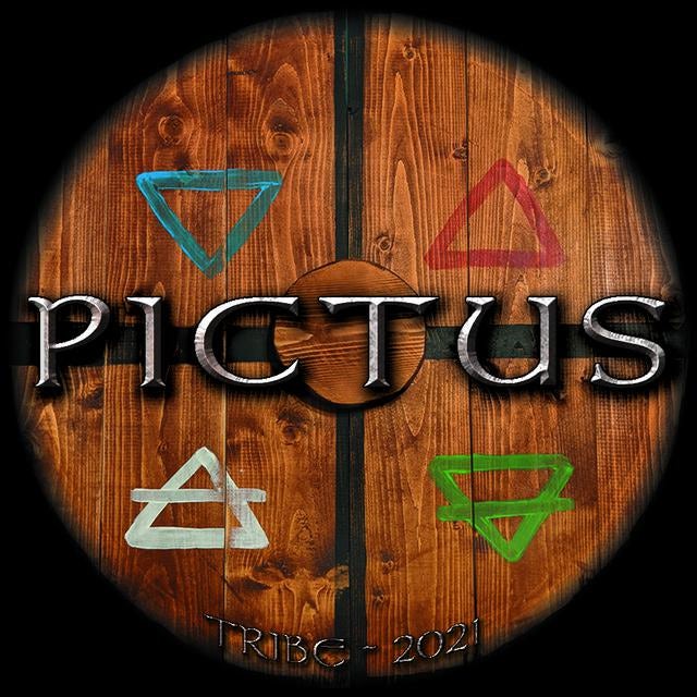Pictus Store: Official Merch & Vinyl