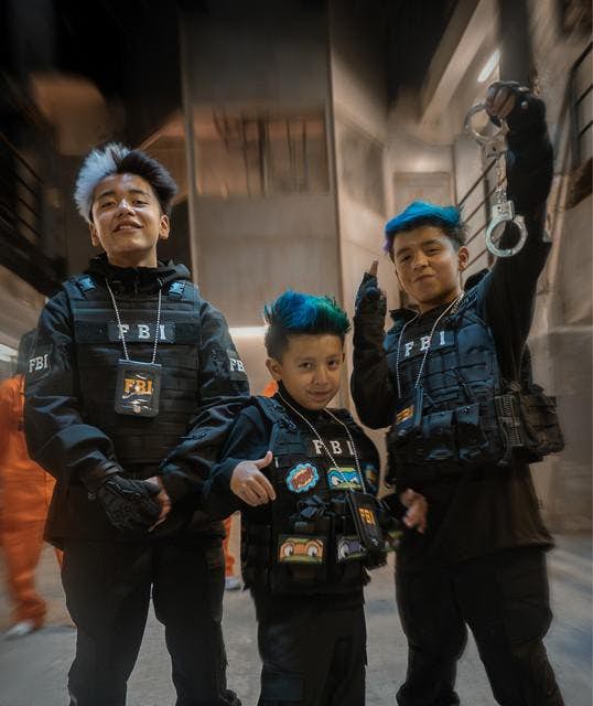 Picus Shirts, Picus Merch, Picus Hoodies, Picus vinyl records, Picus ...