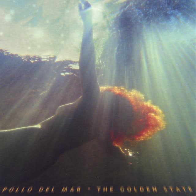 Pollo Del Mar Store: Official Merch & Vinyl