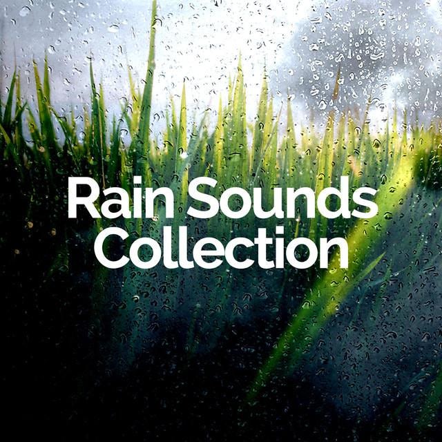 Rain Sounds Collection Store: Official Merch & Vinyl