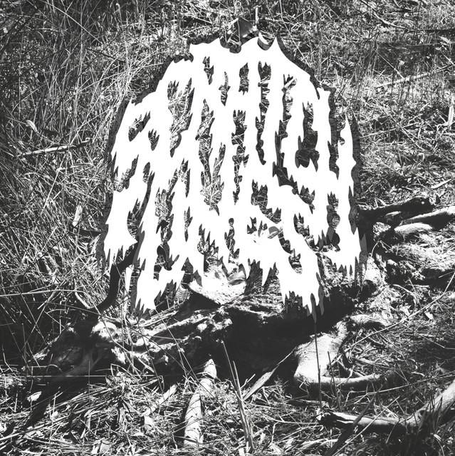 Scratch Lines Store: Official Merch & Vinyl