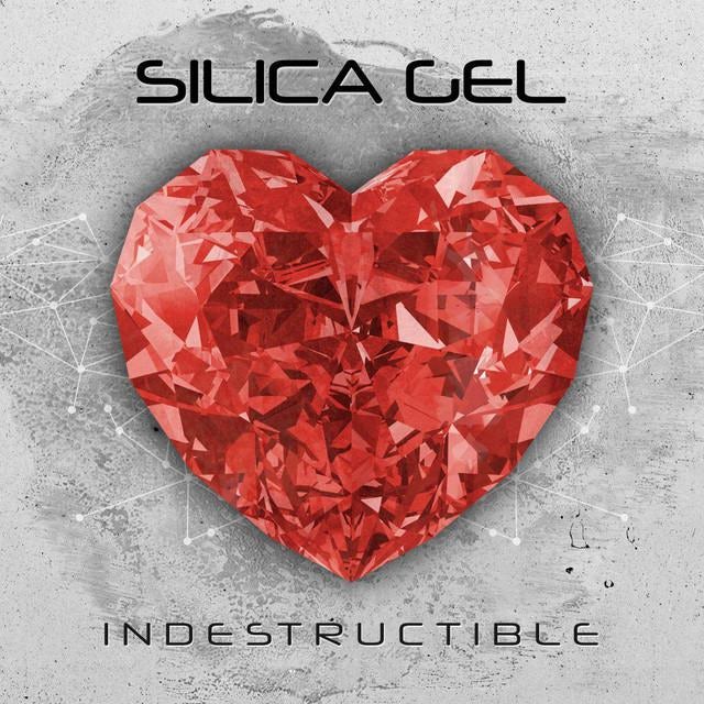 Silica Gel Store: Official Merch & Vinyl