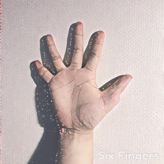 Six Fingers Store: Official Merch & Vinyl