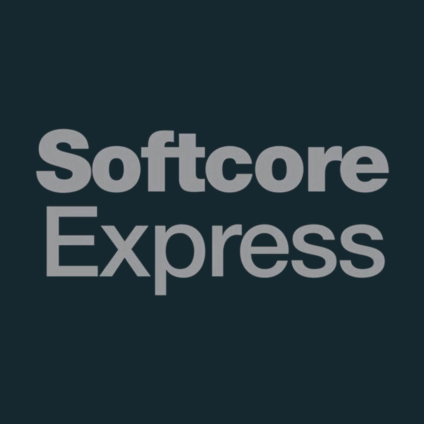 Softcore Express Store Official Merch And Vinyl
