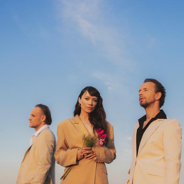 Sorry Boys Store: Official Merch & Vinyl