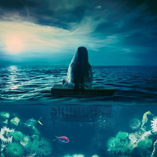 Stella Starlight Trio Store: Official Merch & Vinyl