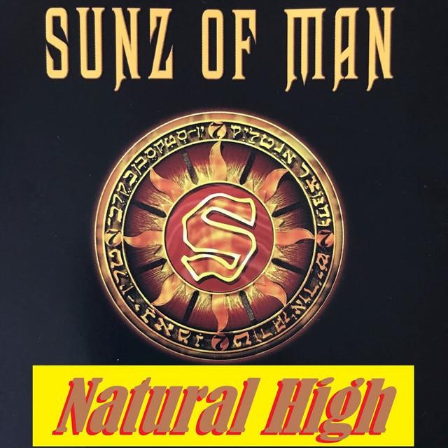Sunz Of Man Rebirth Vinyl Record