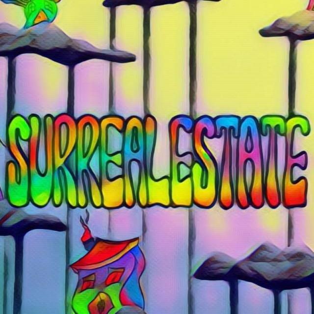 Surreal Estate Vinyl Record