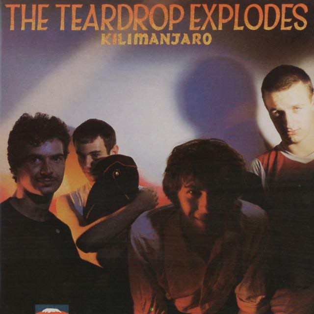 The Teardrop Explodes Wilder Vinyl Record