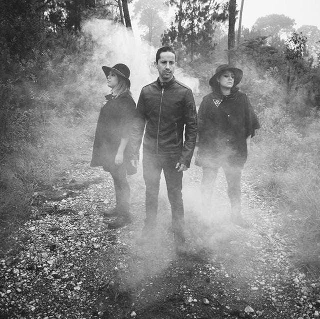 The All Store: Official Merch & Vinyl