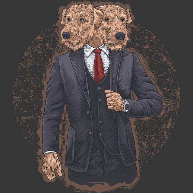 The Anatomy of Store: Official Merch & Vinyl