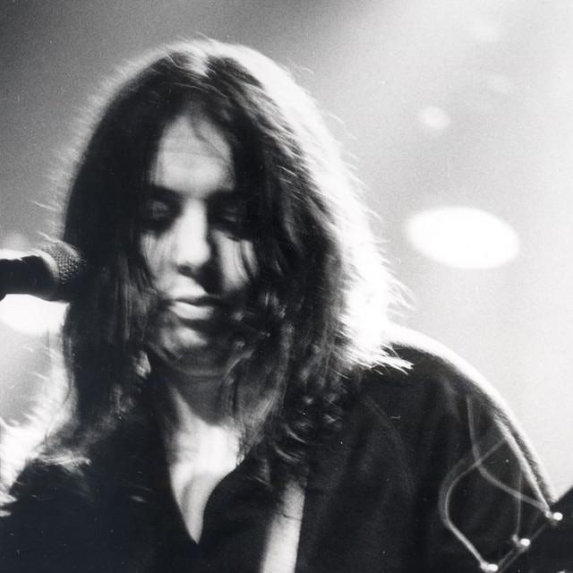 The Bevis Frond White Numbers Vinyl Record