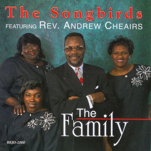 The Song Birds Store: Official Merch & Vinyl