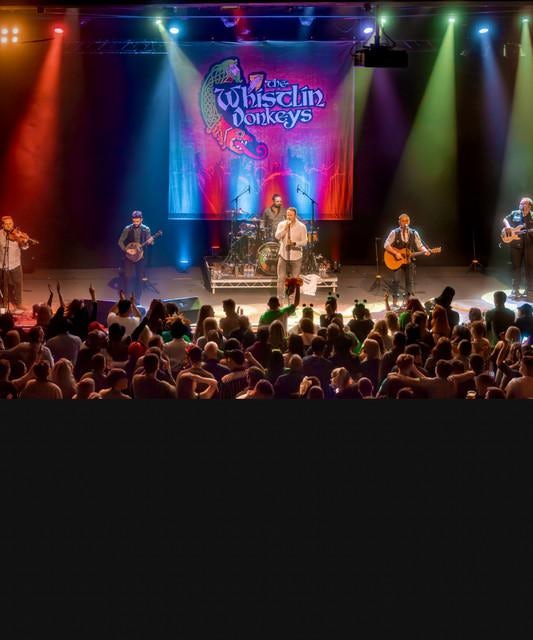 The Whistlin' Donkeys Store: Official Merch & Vinyl