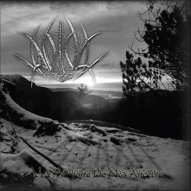 Valhôll Store: Official Merch & Vinyl