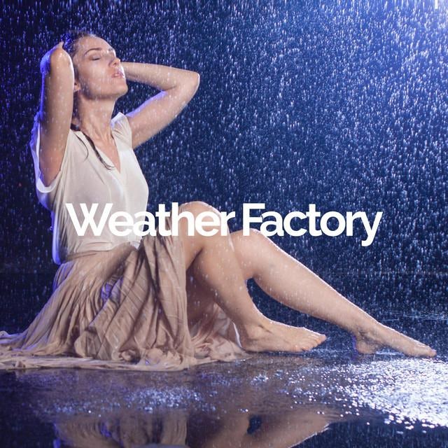 Weather Factory Store: Official Merch & Vinyl