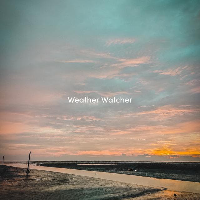 Weather Watcher Store: Official Merch & Vinyl