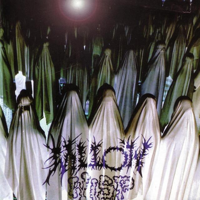 Willow Wisp Store: Official Merch & Vinyl