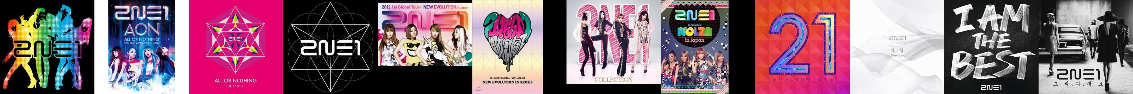 2NE1 Store: Official Merch & Vinyl