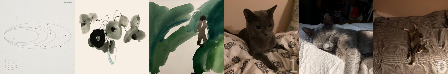 615 Store: Official Merch & Vinyl