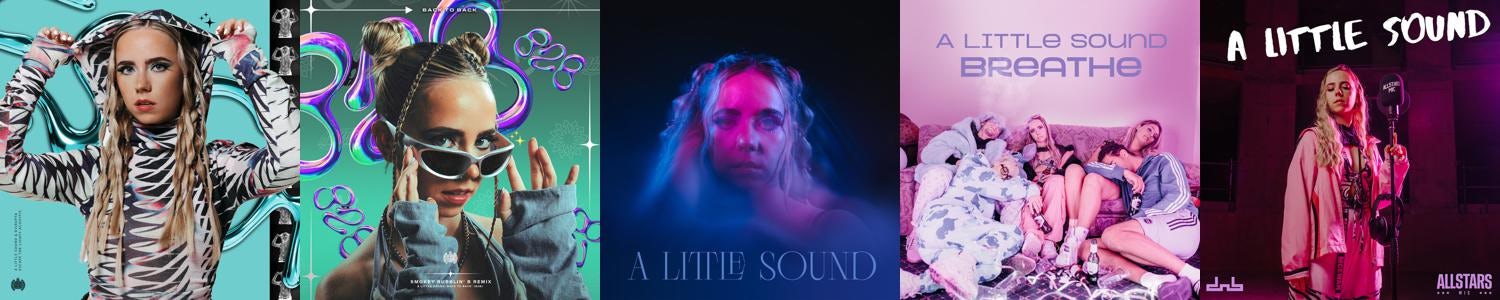 A Little Sound Store: Official Merch & Vinyl