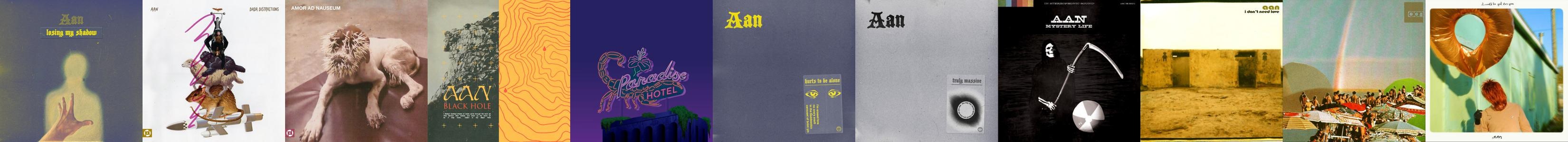 Aan Store: Official Merch & Vinyl