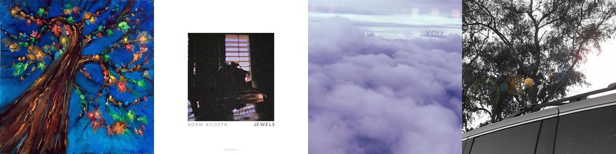 Adam Acosta Store: Official Merch & Vinyl