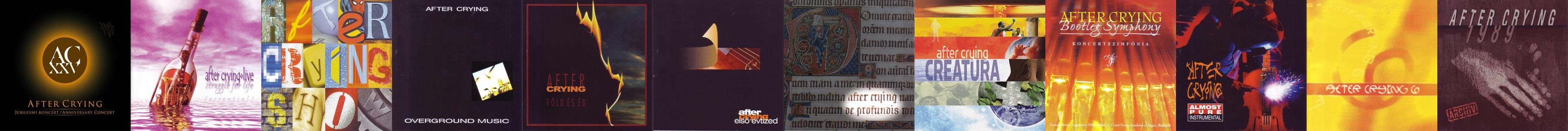 After Crying Store: Official Merch & Vinyl