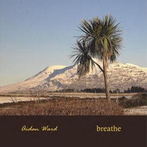 Aidan Ward Store: Official Merch & Vinyl