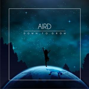 Aird Store: Official Merch & Vinyl