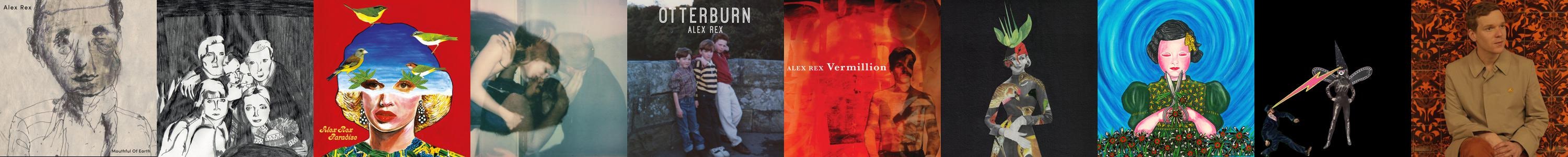 Alex Rex Shirts, Alex Rex Merch, Alex Rex Hoodies, Alex Rex Vinyl ...