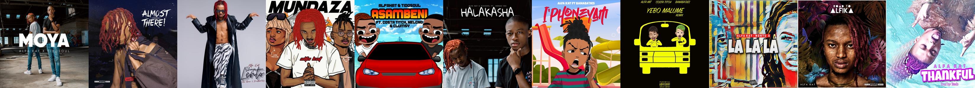 Alfa Kat Store: Official Merch & Vinyl