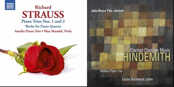 Amelia Piano Trio Store: Official Merch & Vinyl