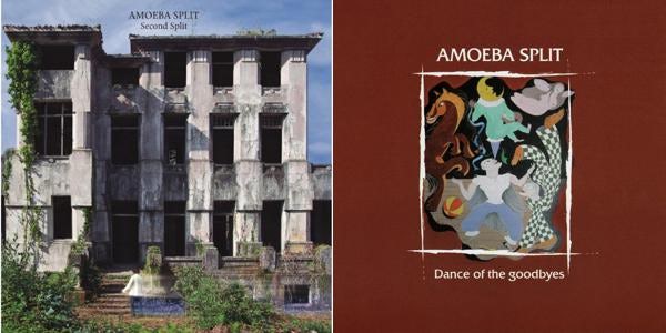 Amoeba Split Store: Official Merch & Vinyl