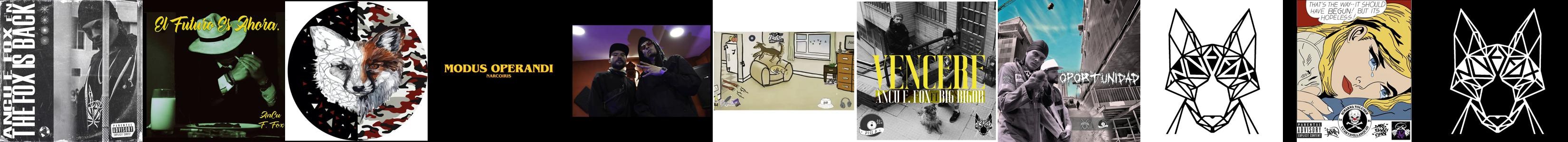 AnCu F. Fox Store: Official Merch & Vinyl